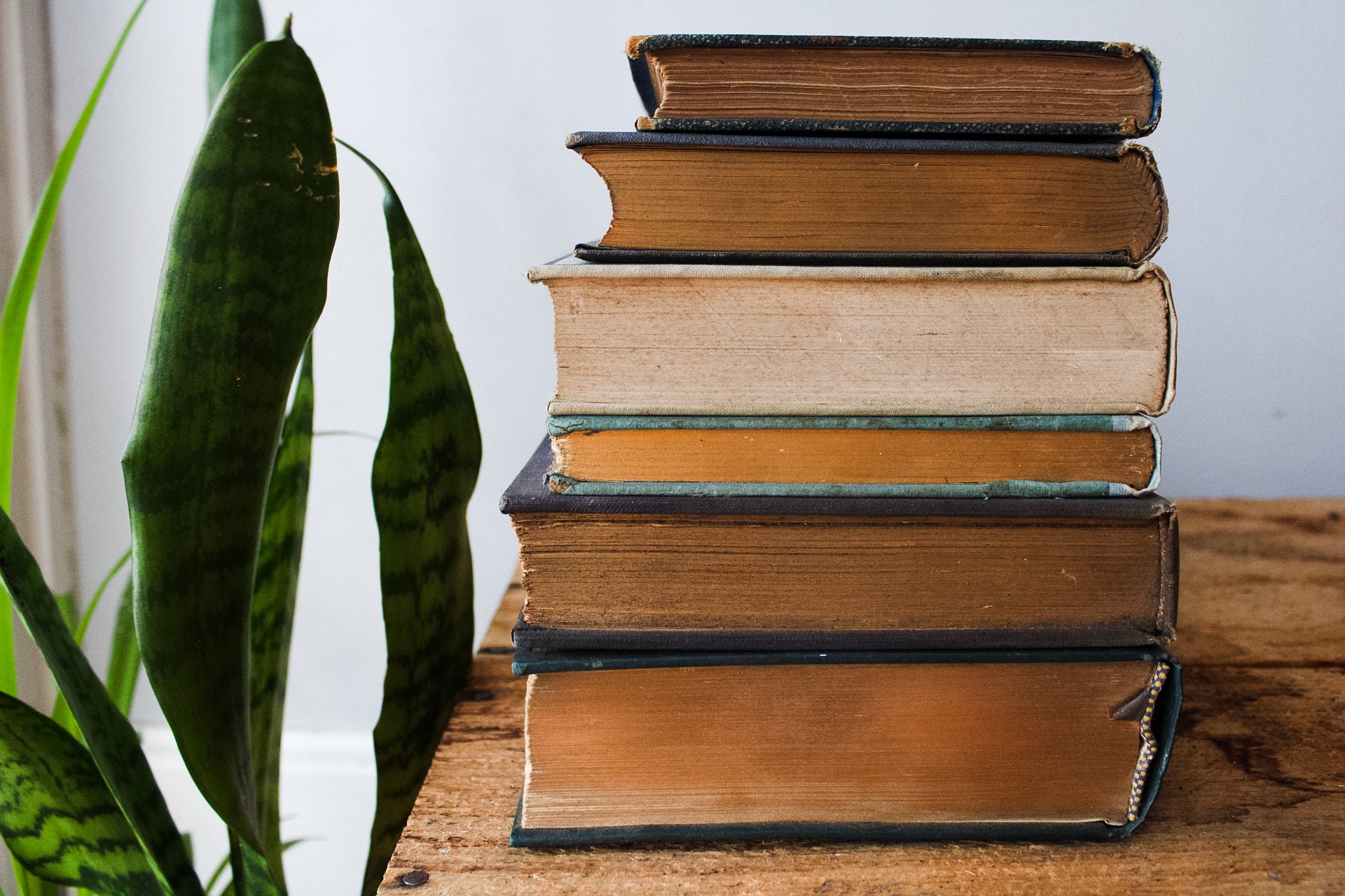 Vintage Book Stack - Perfect for Decor/staging/reading - Etsy