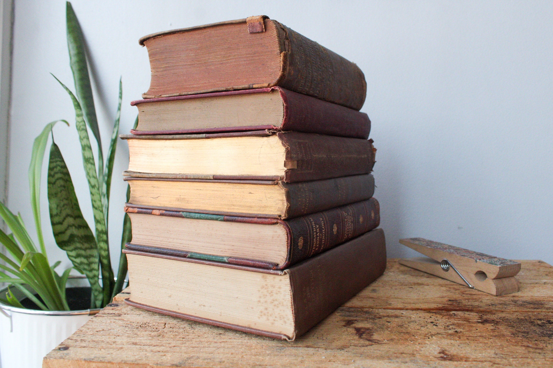 Chabby Chic Vintage Book Stack Perfect for Decorating - Etsy