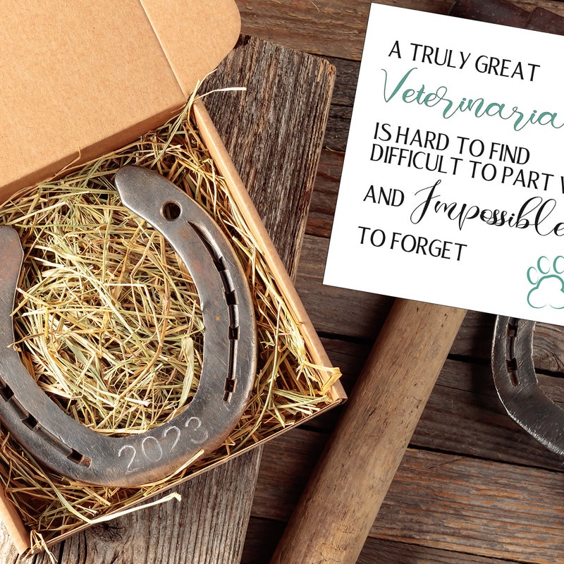 Vet Graduation Gift - 60+ Gift Ideas for 2025