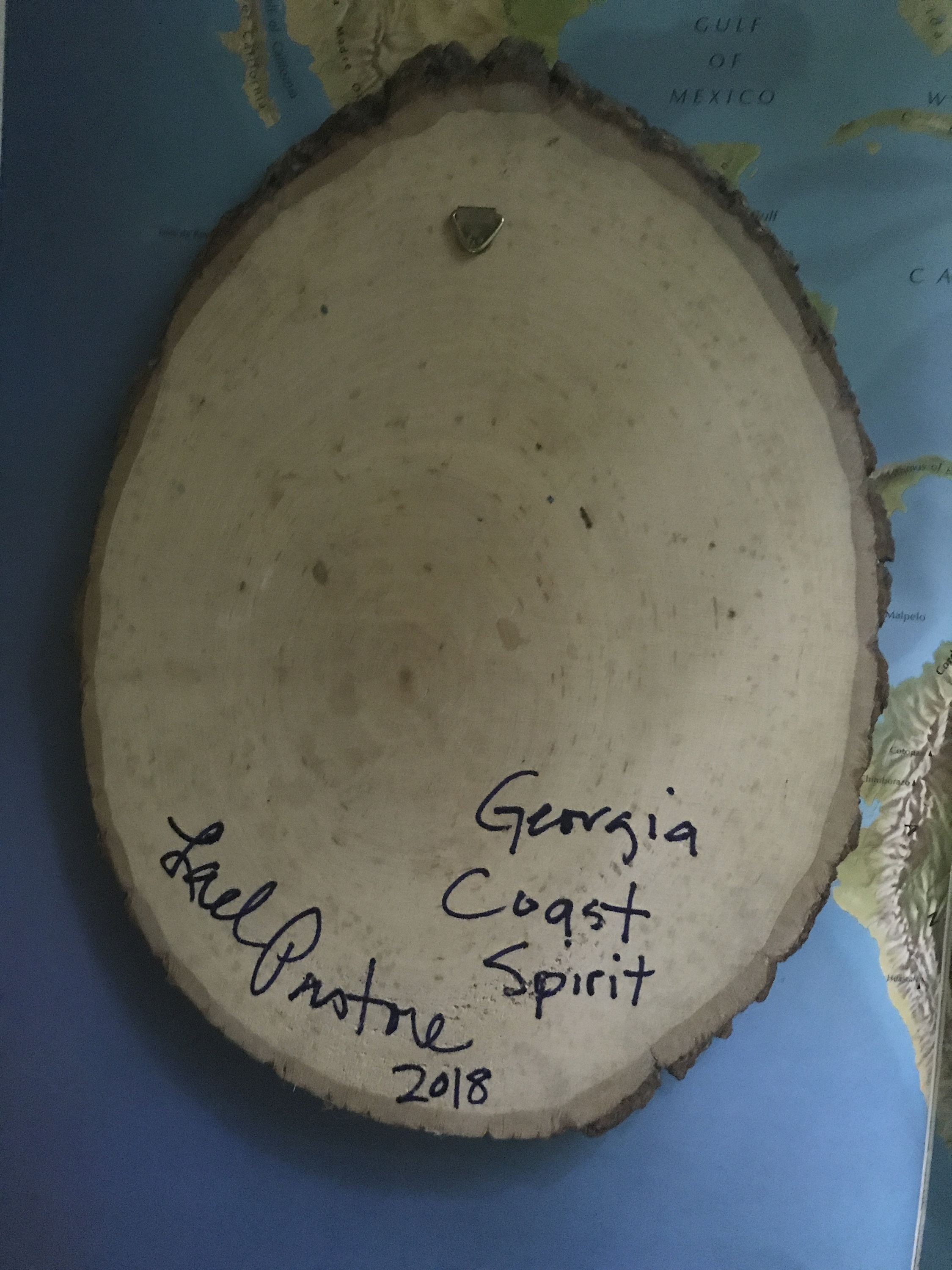 Ocean Art Coastal Georgia Sea Sprite Seashells Drift Wood Crab Claws ...