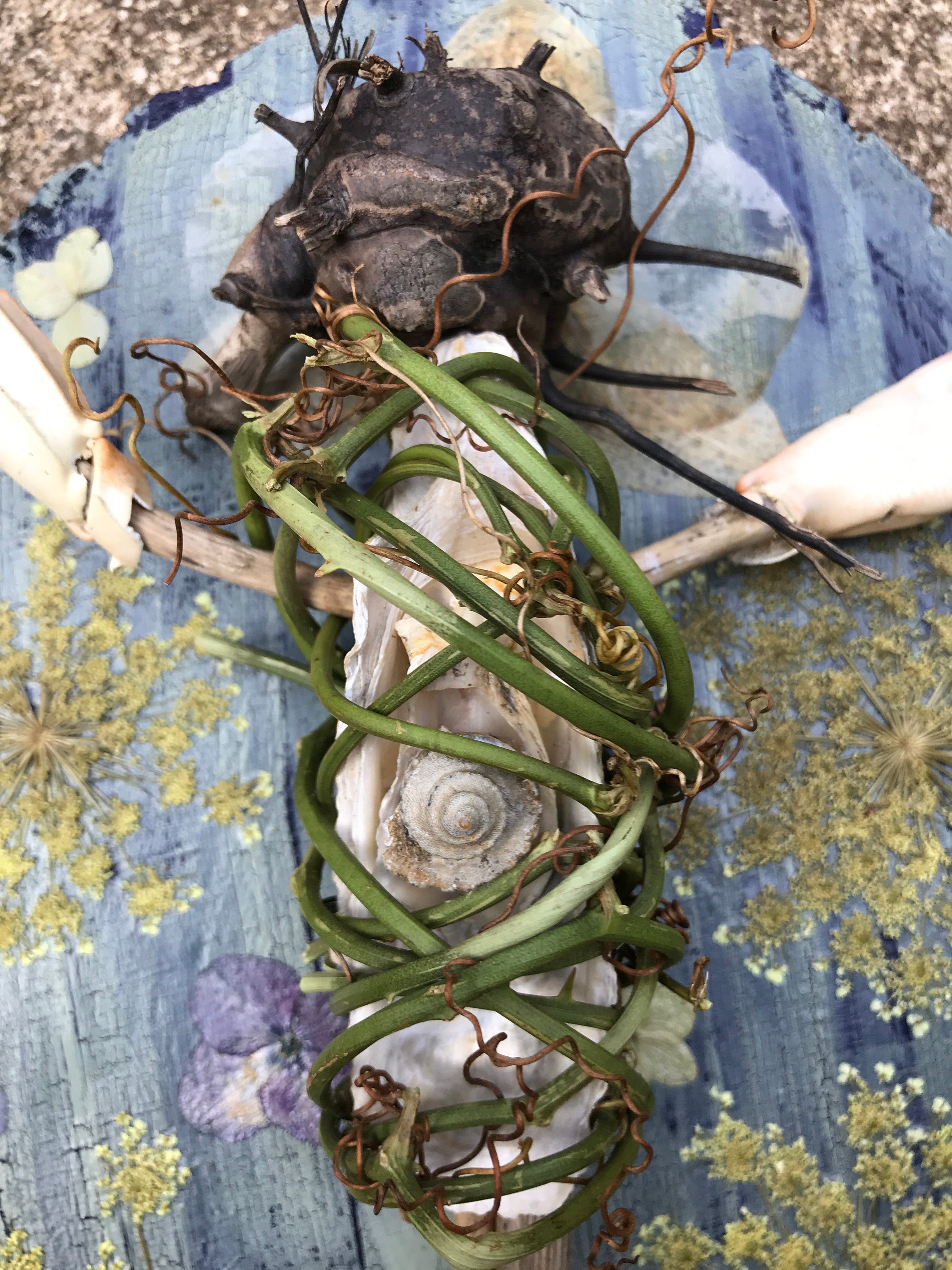 Ocean Art Coastal Georgia Sea Sprite Seashells Drift Wood Crab Claws ...