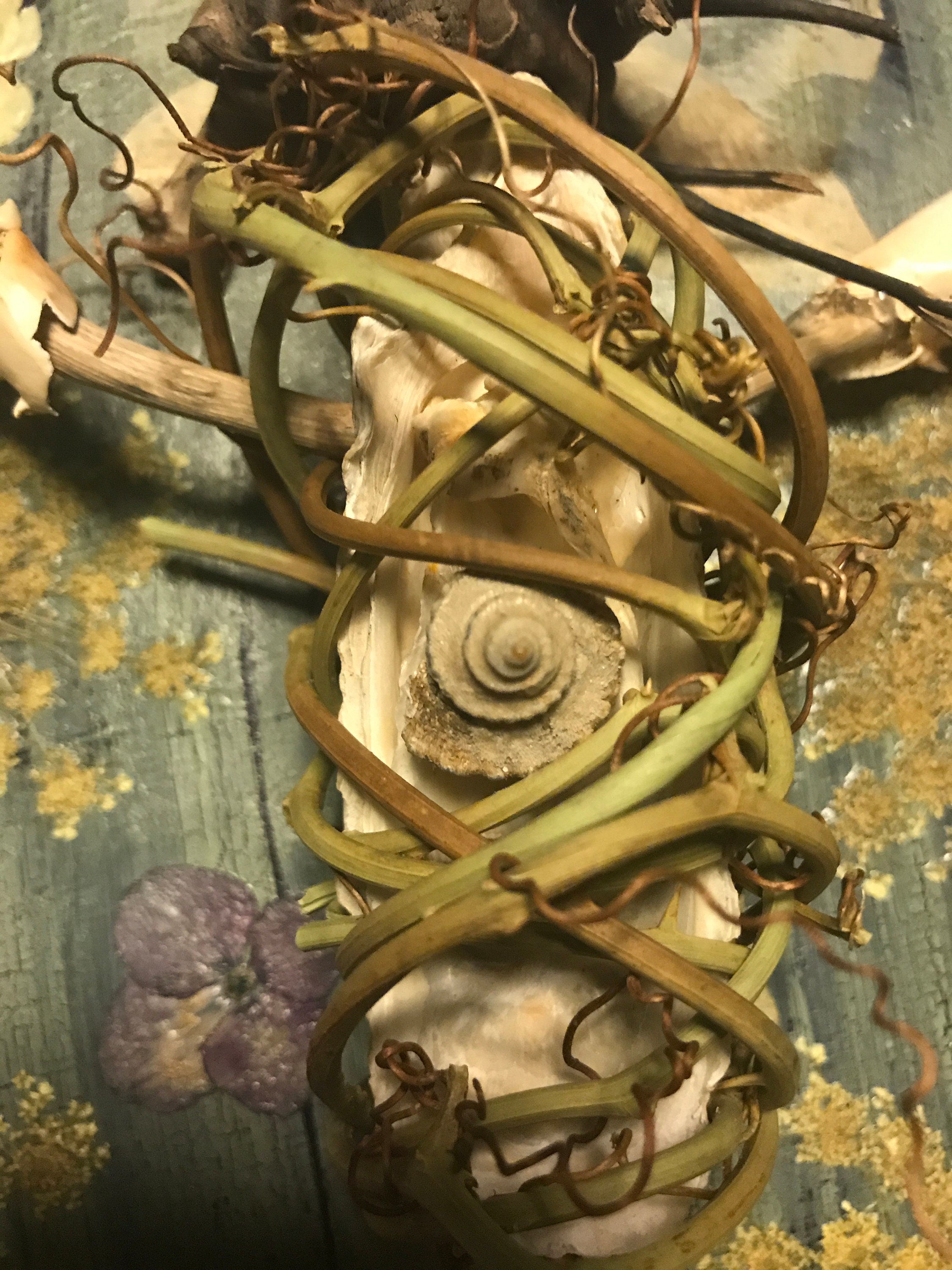 Ocean Art Coastal Georgia Sea Sprite Seashells Drift Wood Crab Claws ...