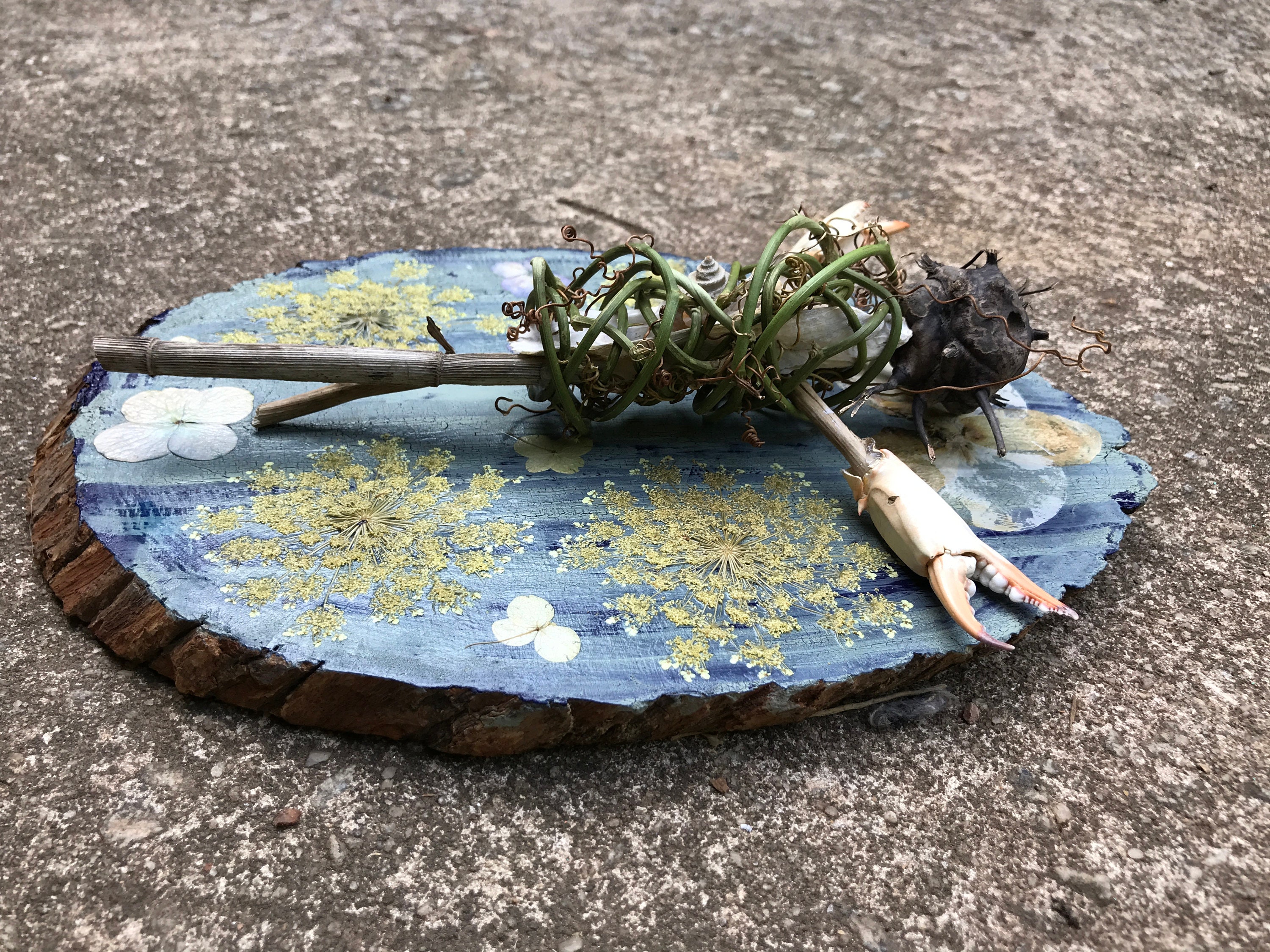 Ocean Art Coastal Georgia Sea Sprite Seashells Drift Wood Crab Claws ...