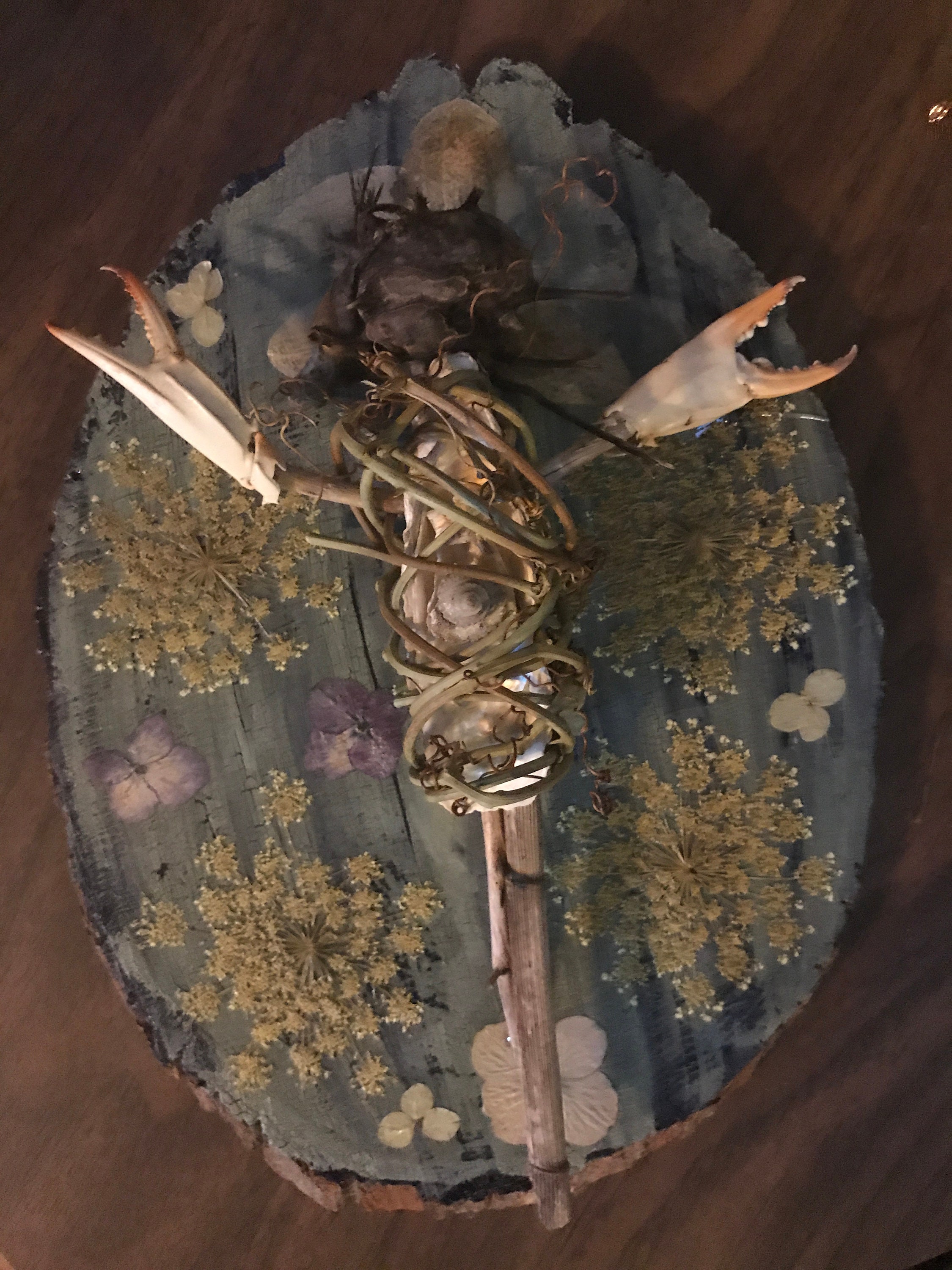 Ocean Art Coastal Georgia Sea Sprite Seashells Drift Wood Crab Claws ...