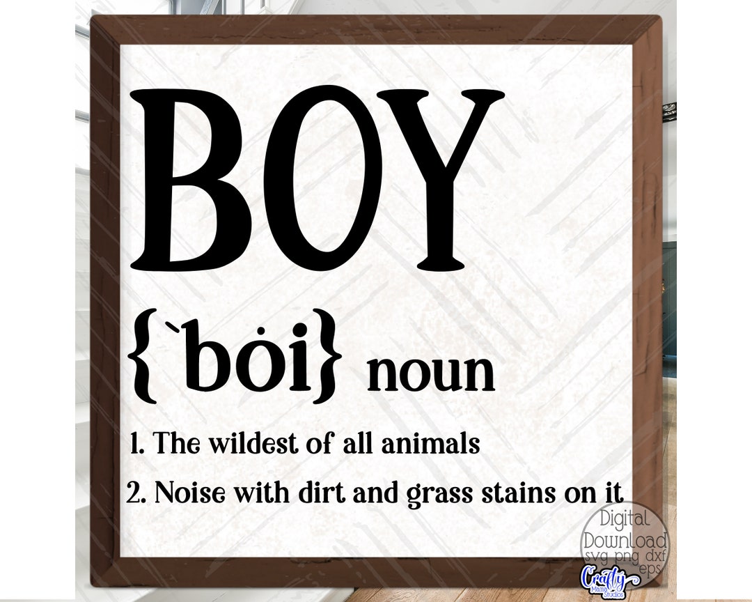 Boy Definition Svg, Funny Boy Svg, Sarcastic Boy Svg, Digital Downloads ...