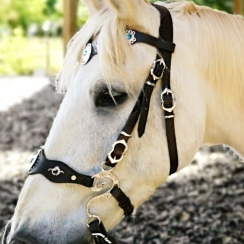 Bitless Bridle Baroque - Etsy