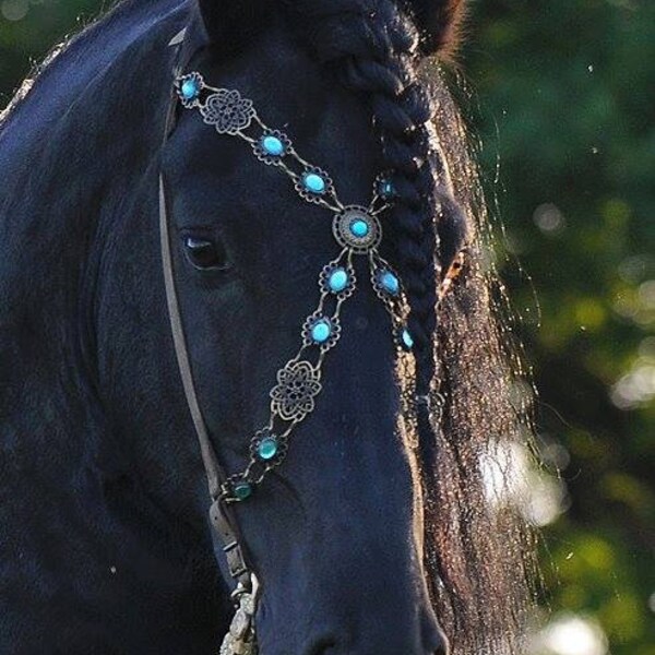 Arabian Horse Tack - Etsy