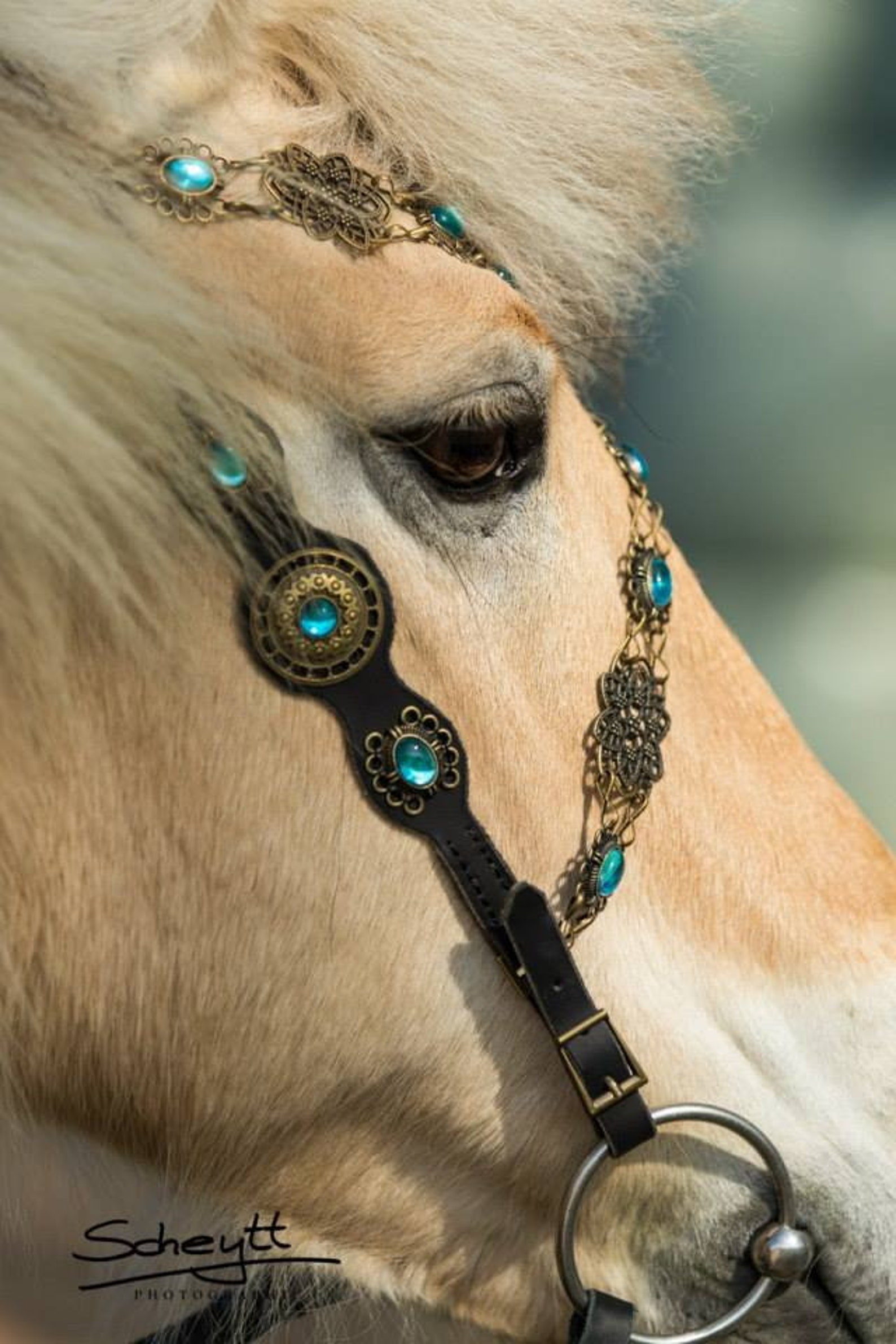 Show Bridle Baroque | Etsy