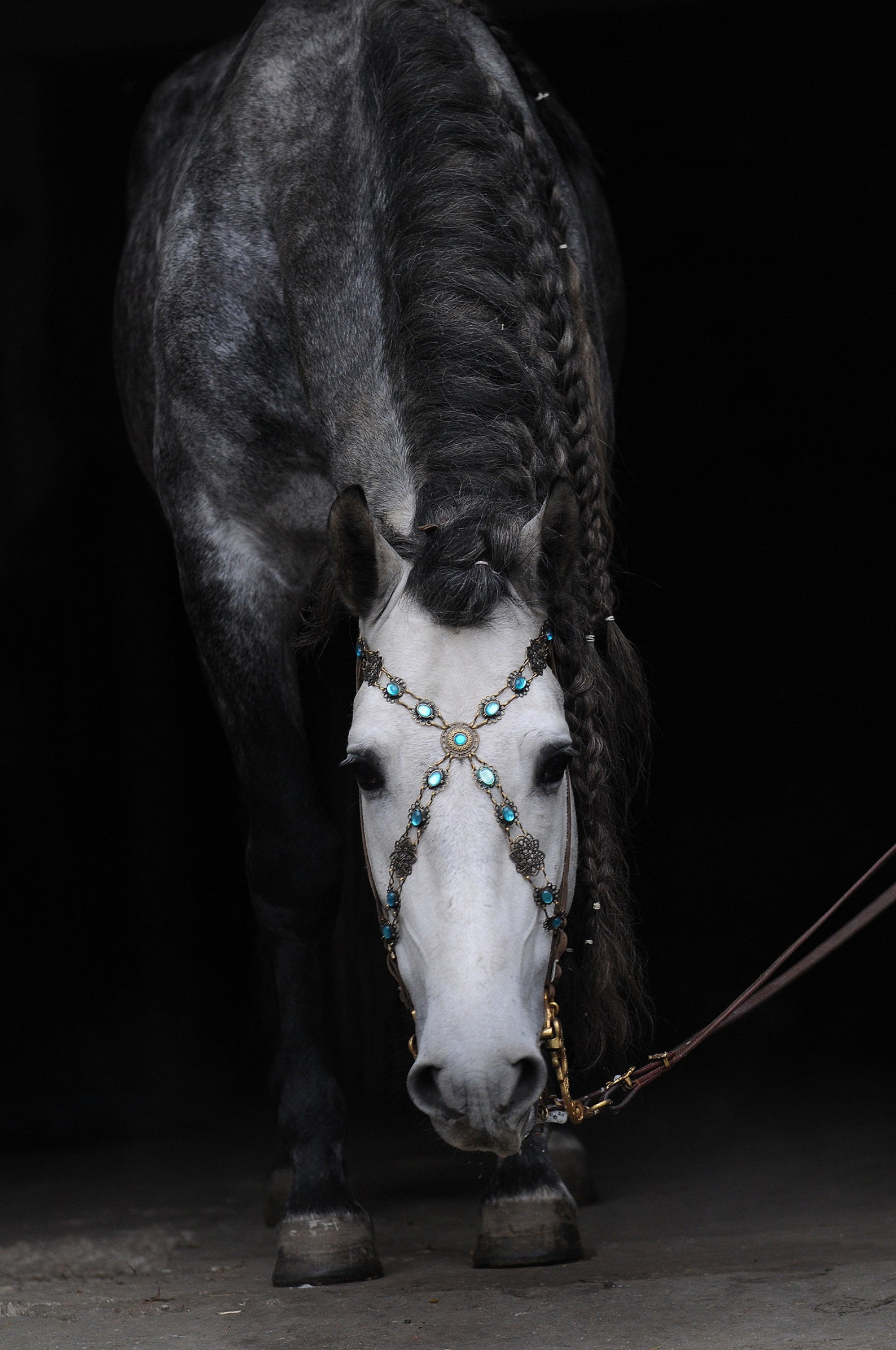 Handmade Show Bridle Baroque Old Gold - Etsy