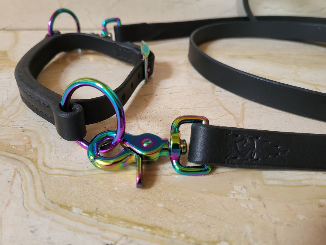 SET - Bit + Reins / Only Bit Rainbow Rings Bridle-less Bit Leather - Etsy