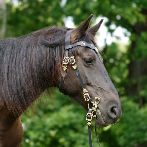 Handmade Show Bridle Baroque Old Gold - Etsy