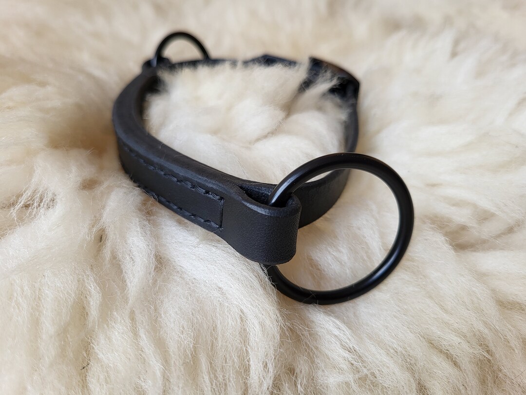 Black Rings Bridle-less Bit Leather - Etsy