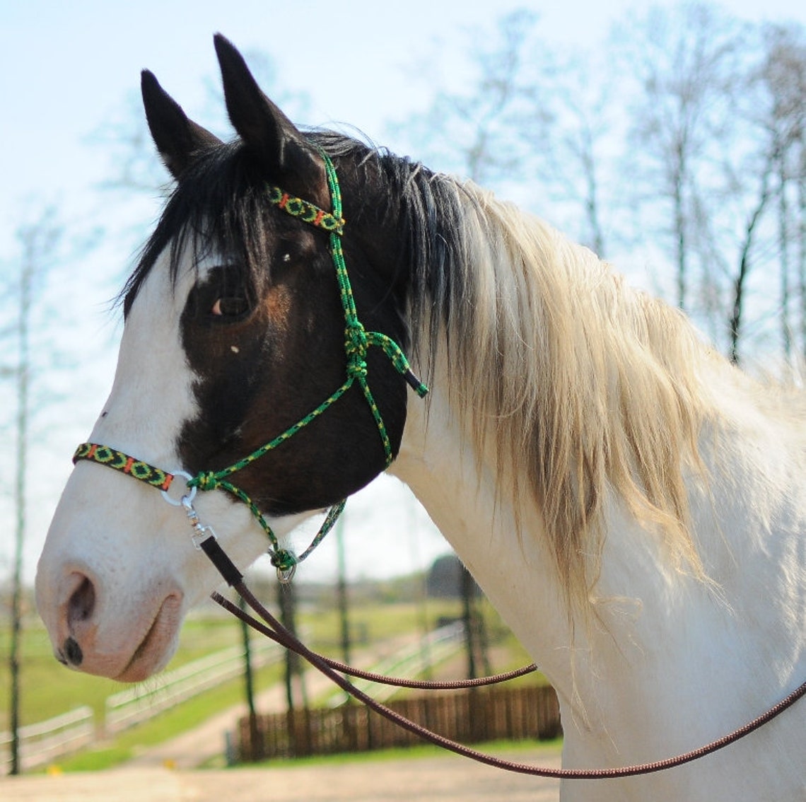 Bitless rope halter reins Handmade | Etsy