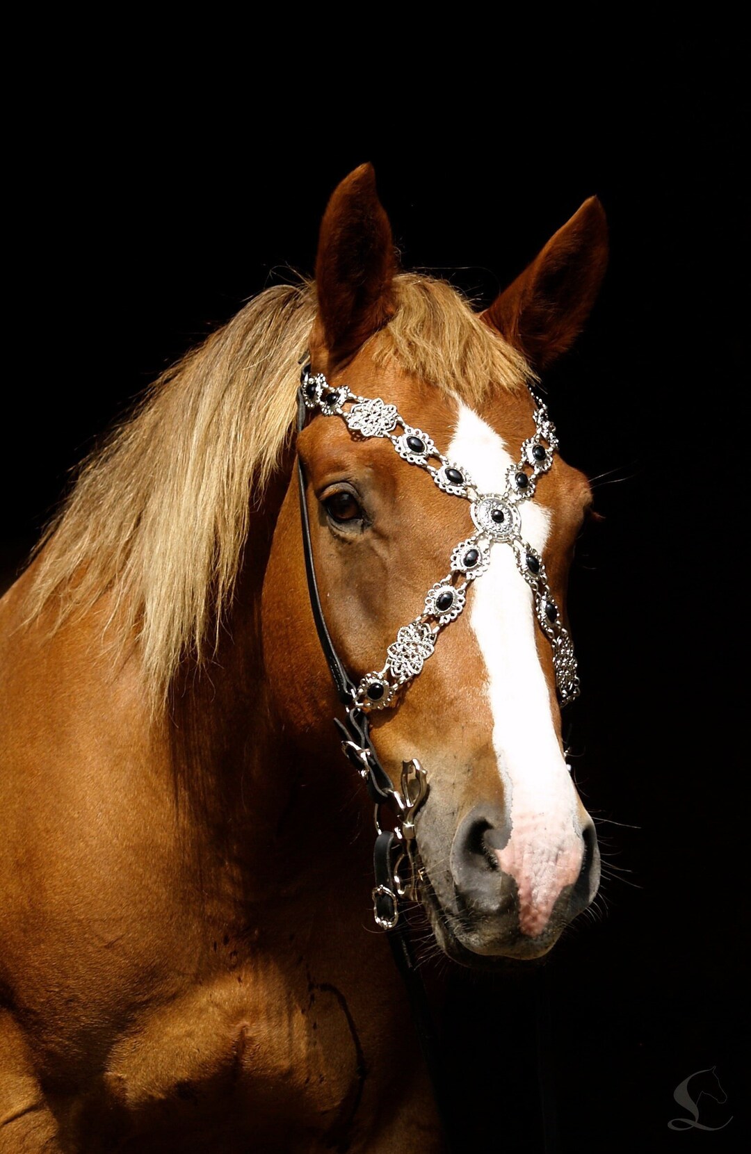 Show Bridle Baroque Silver Handmade - Etsy