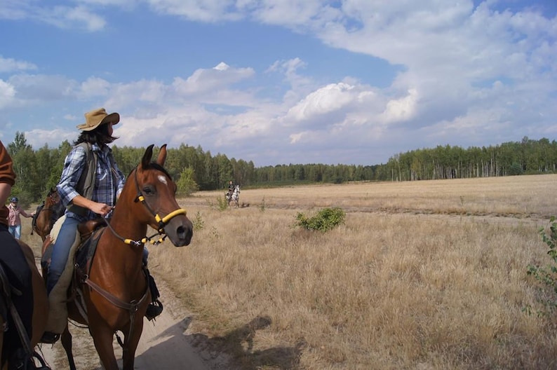 Indian Hackamore Bridle Reins Rope Side Pull | Etsy