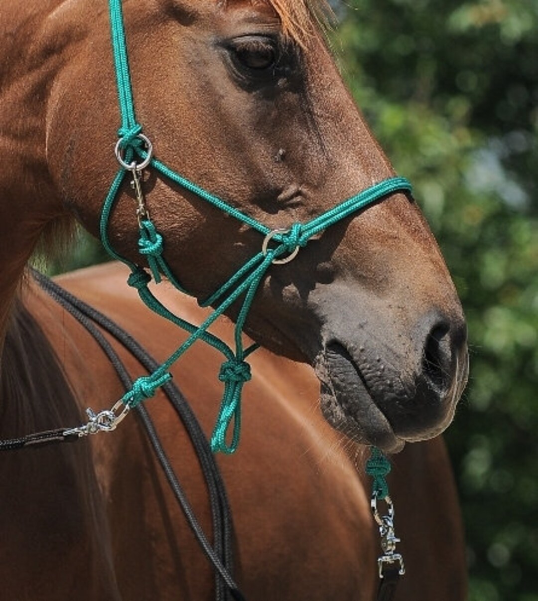 Bridle Bitless Rope or Bitless Rope Sidepull Reins - Etsy