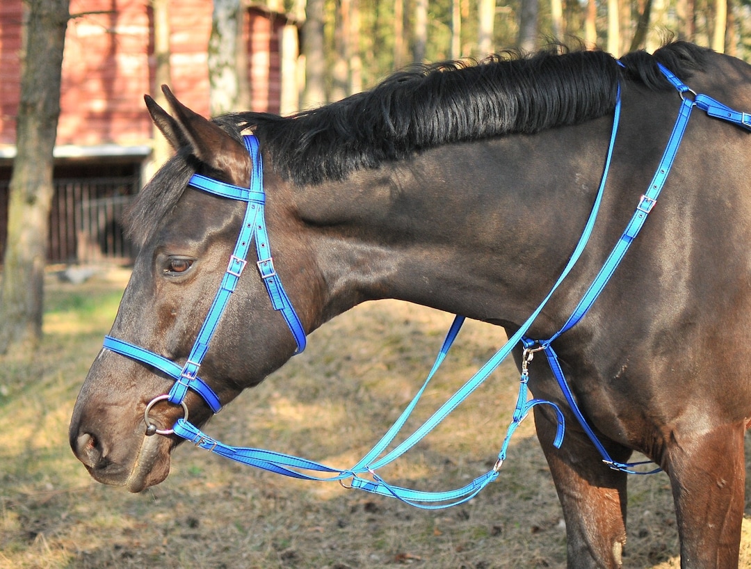 Handmade Bridle Reins Vivid Colours - Etsy
