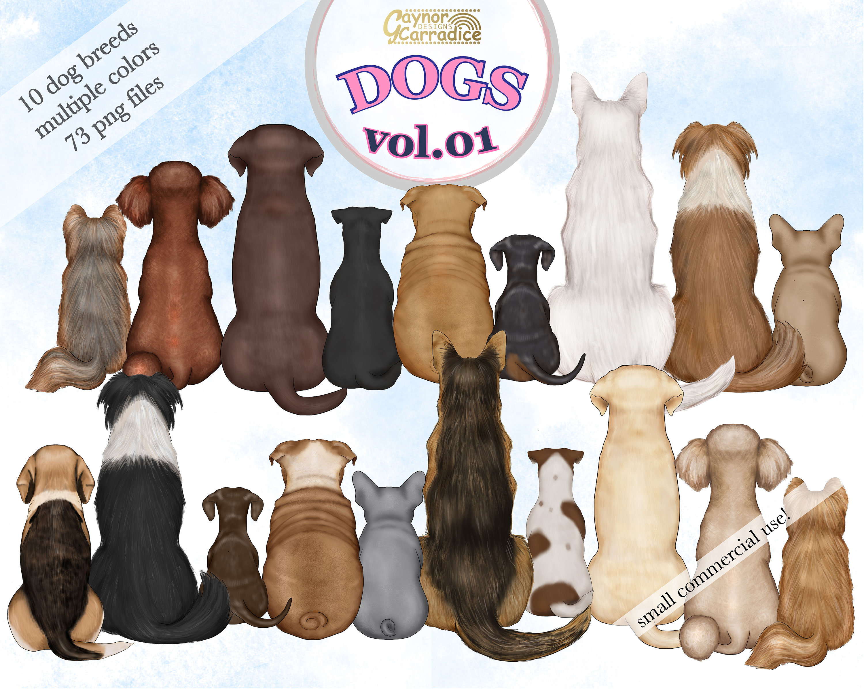 Dog Sitting Back View