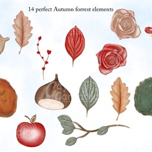 Forrest Animals Clipart, Cute Autumn Clip Art, Fall Planner Graphics ...