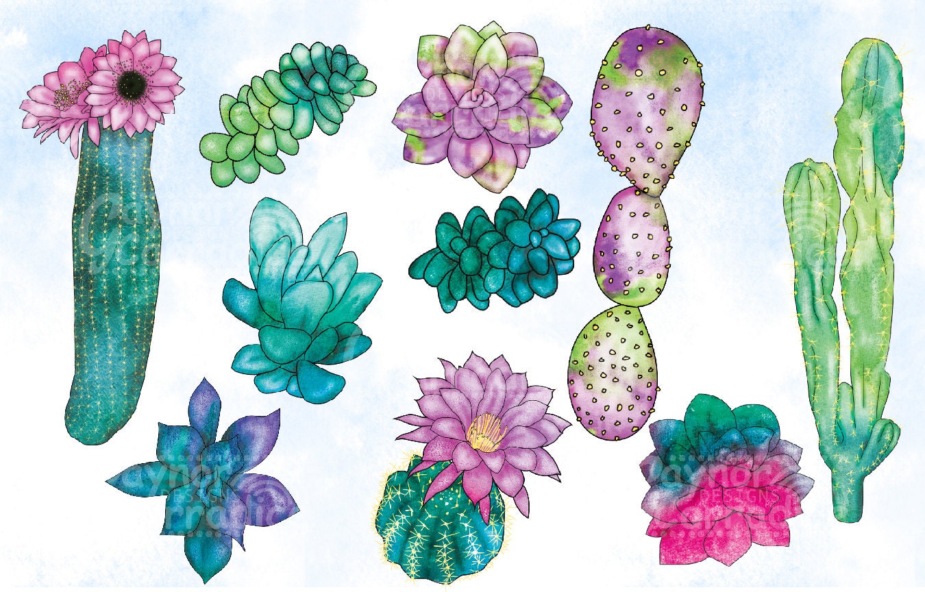 Cactus and Succulents Watercolor Clip Art Planner Stickers | Etsy