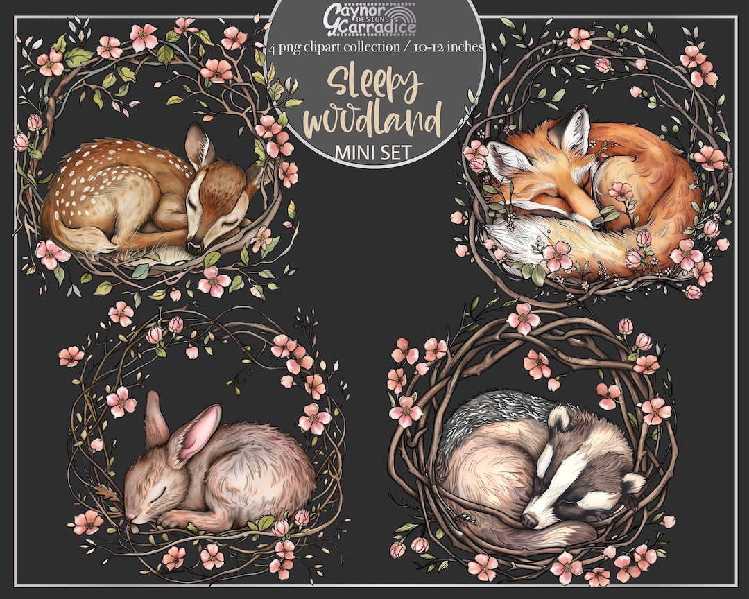 Cute Sleeping Animals Clipart - 4 X Woodland Animal Png Files, Mystical ...