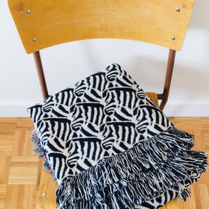 Zebra Print Blanket: Throw Blanket for Animal Print Decor, Gift for ...
