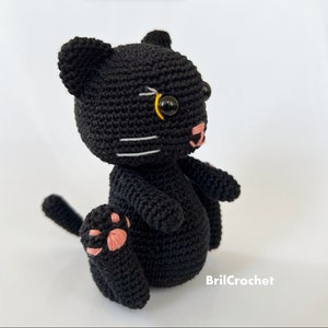 PATTERN Black Cat Crochet Pattern, Crafting an Iconic Symbol of ...