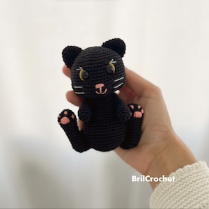 PATTERN Black Cat Crochet Pattern, Crafting an Iconic Symbol of ...
