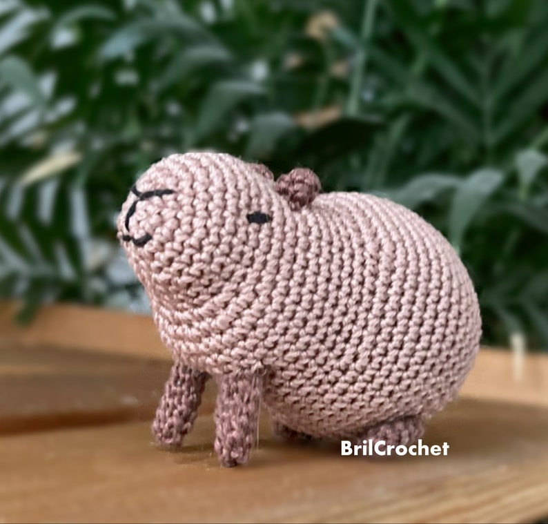 Capybara Crochet Pattern: Amigurumi Toy & Baby Mobile (PDF) - Etsy