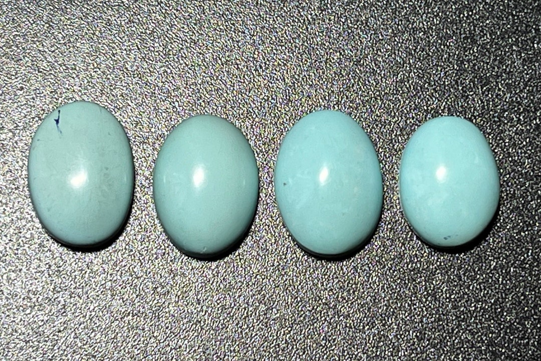 4 Genuine Chinese Turqoise Cabochons - Vintage! - Etsy