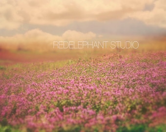 Digital Background - Lavender Field - Etsy