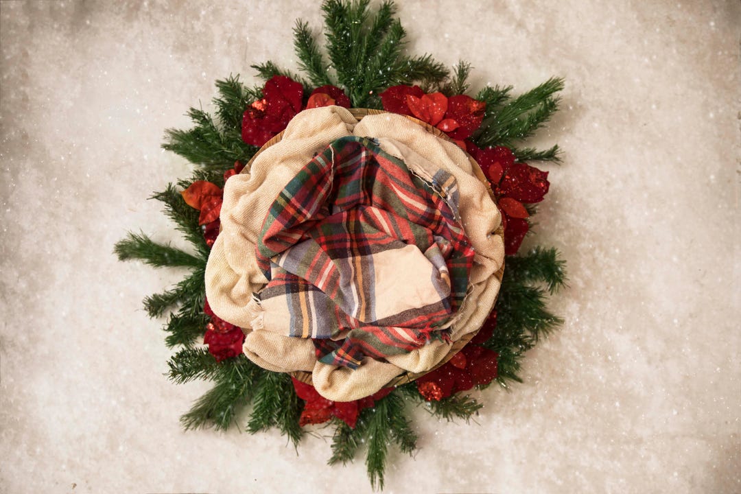 Christmas/holiday Swaddle Basket With Poinsettias and Greenery for ...