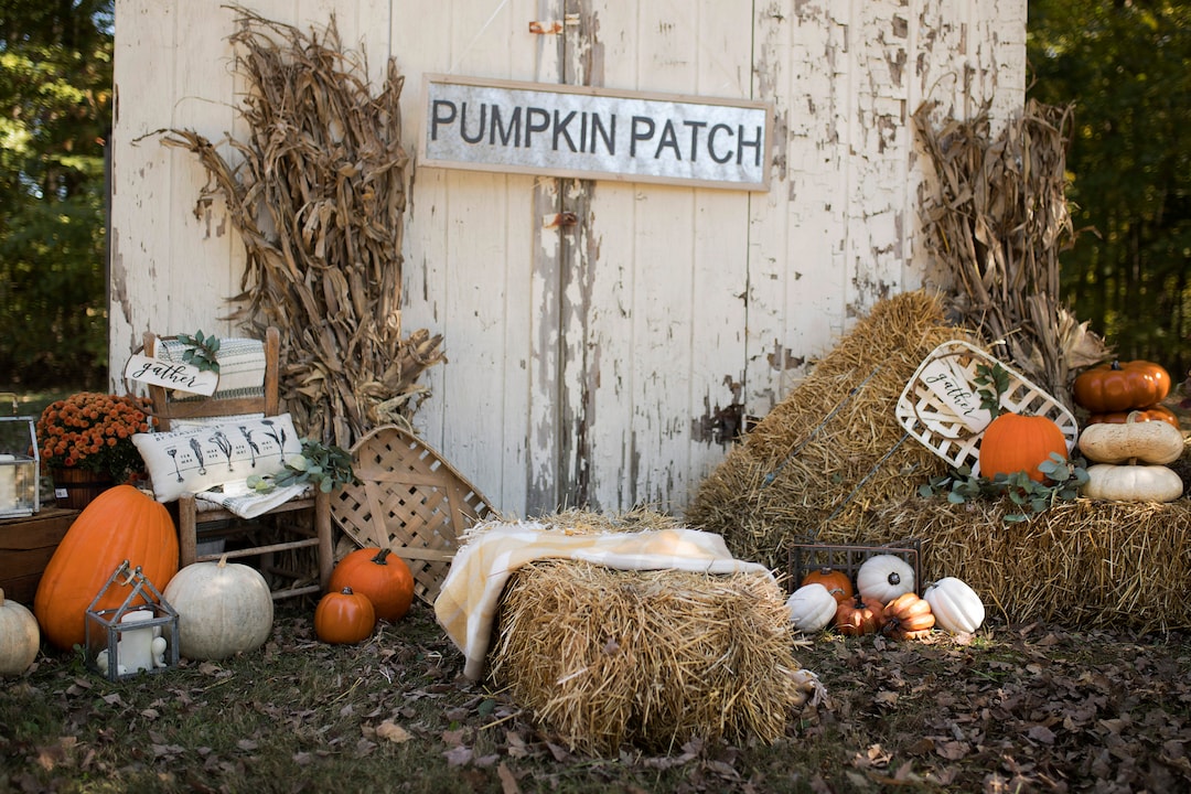 Outdoor Pumpkin Patch / Farmhouse Setup With Pumpkins/ Hay Bales ...