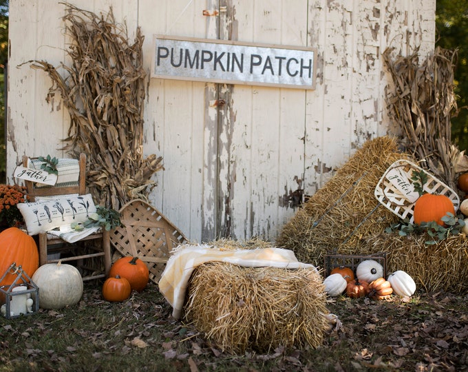Outdoor Pumpkin Patch / Farmhouse Setup With Pumpkins/ Hay - Etsy