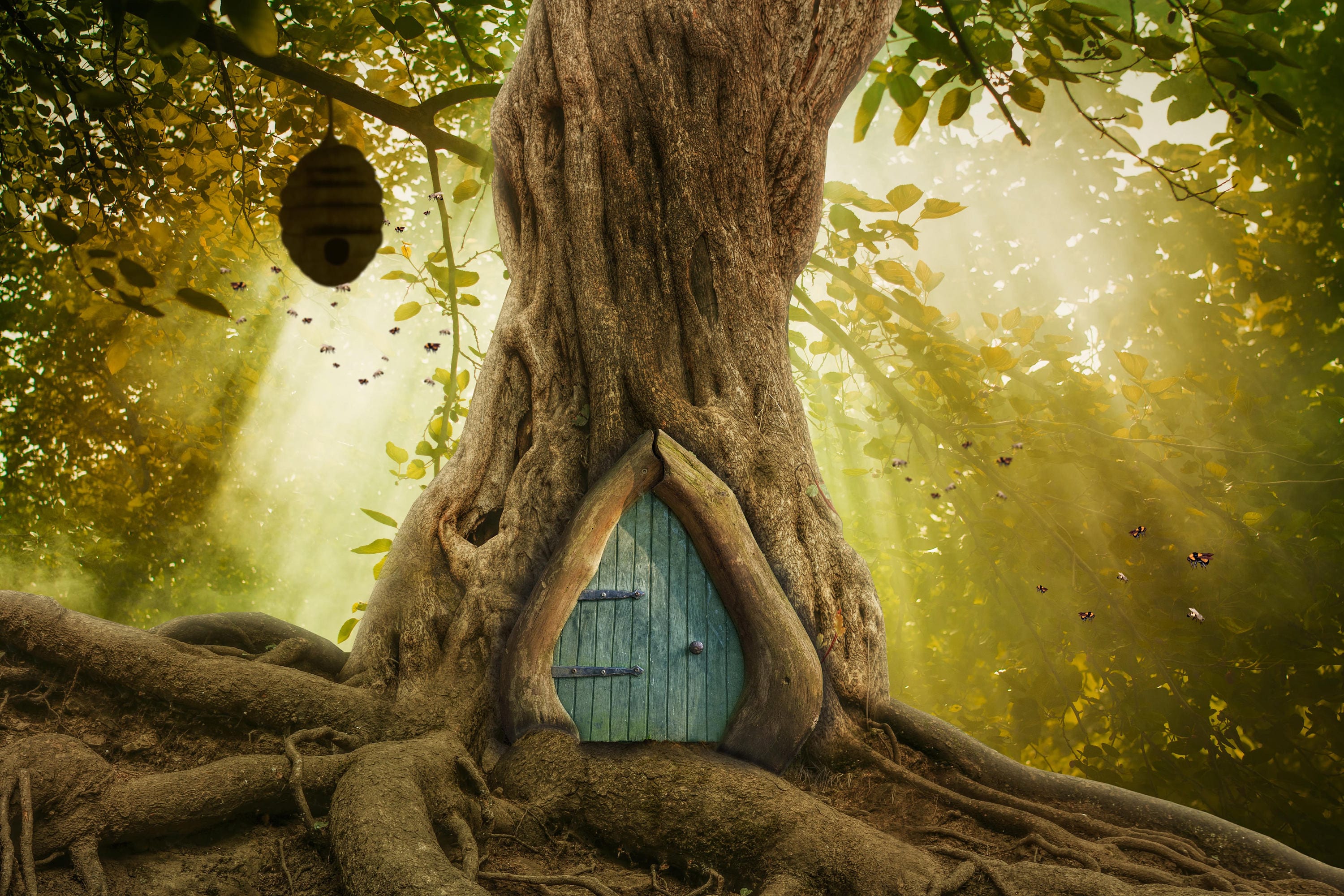 Whimsical Forest, Tree With Door / Winnie the Pooh Digital Backdrop ...