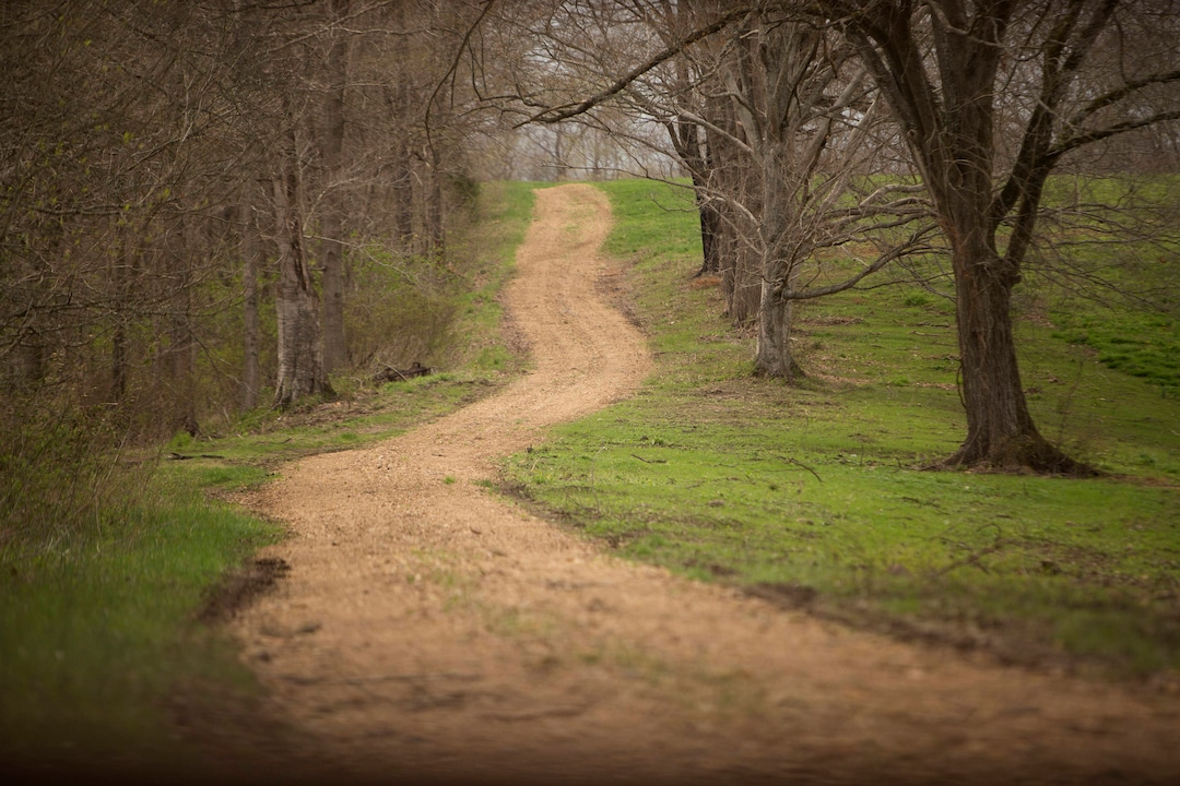 Outdoor Gravel Path With Trees Digital Background/digital Backdrop ...