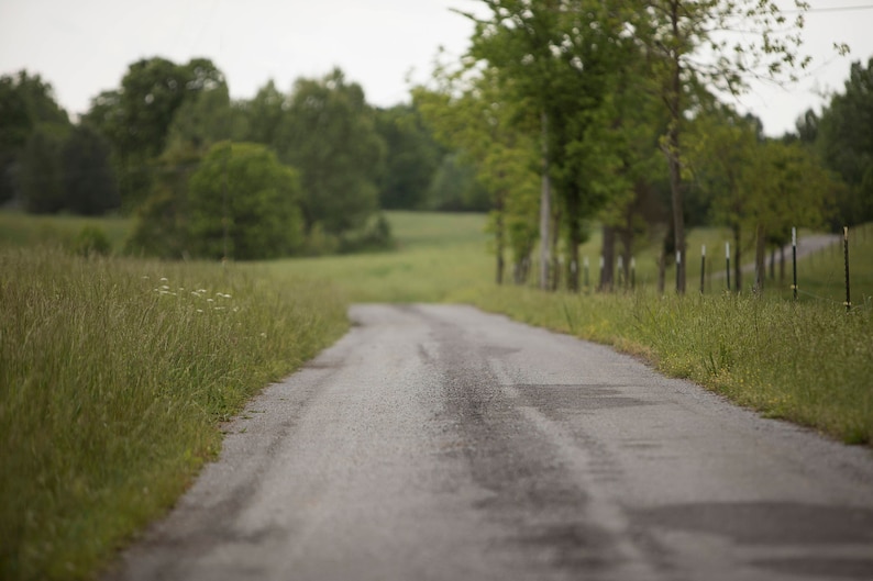 Set of 5 Country Road Paths Digital Backdrop/digital - Etsy