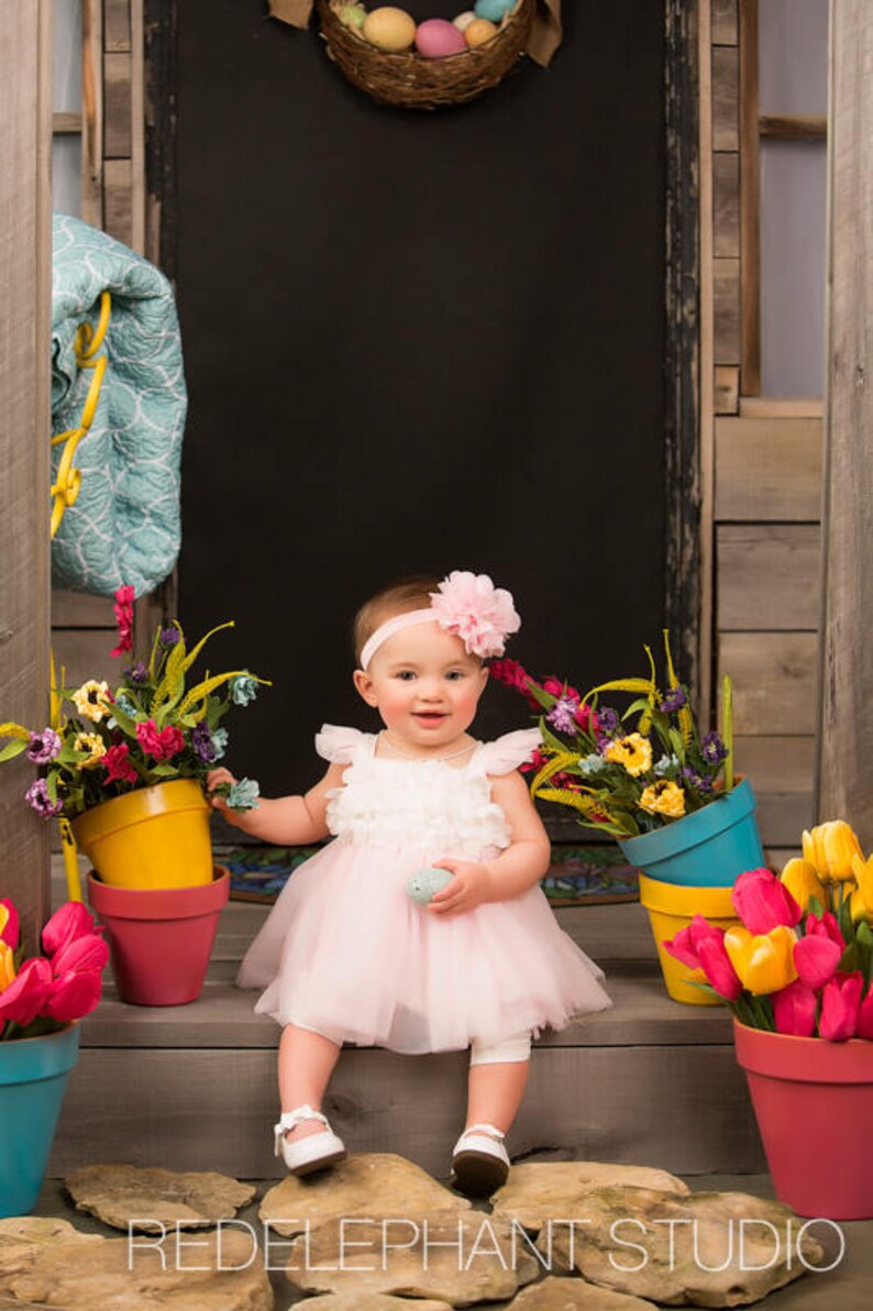 Spring/easter Outdoor Setup With Carrot Garden and Flowers - Etsy