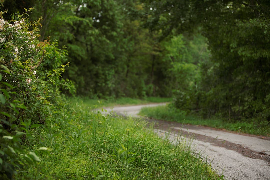 Set of 5 Country Road Paths Digital Backdrop/digital Background ...
