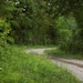 Set of 5 Country Road Paths Digital Backdrop/digital Background ...