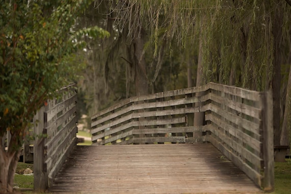 Long wooden bridge with trees hanging down digital | Etsy