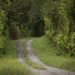 Set of 5 Country Road Paths Digital Backdrop/digital Background ...