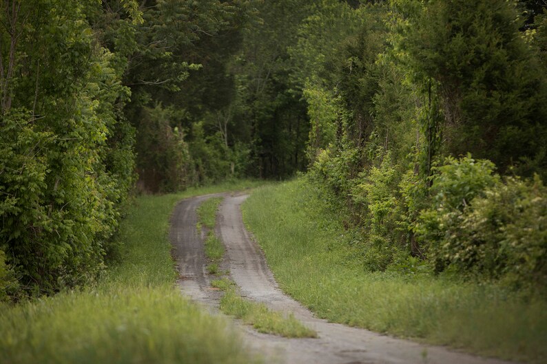 Set of 5 Country Road Paths Digital Backdrop/digital Background ...