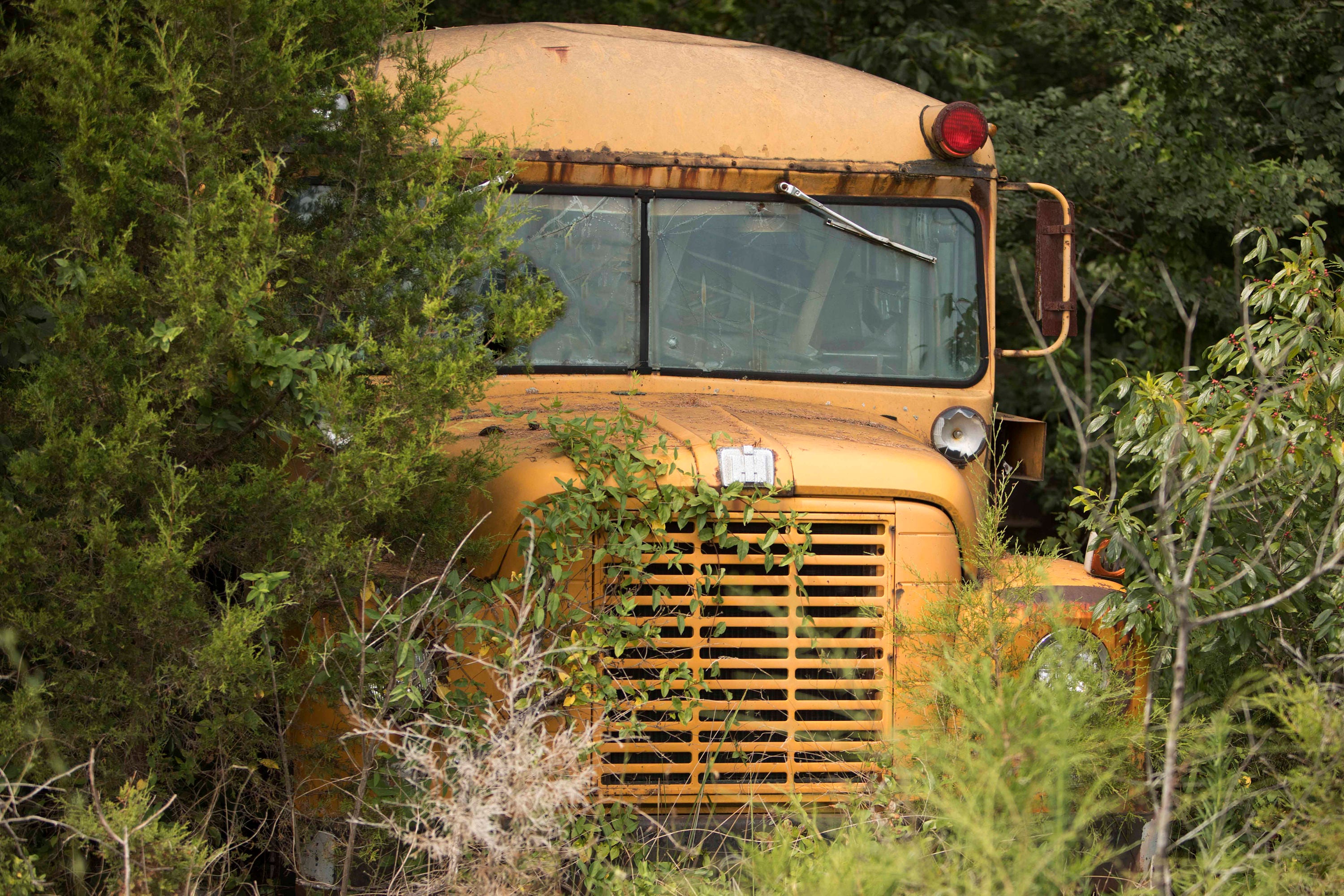 Old Grungy School Bus Digital Background/digital Backdrop - Etsy