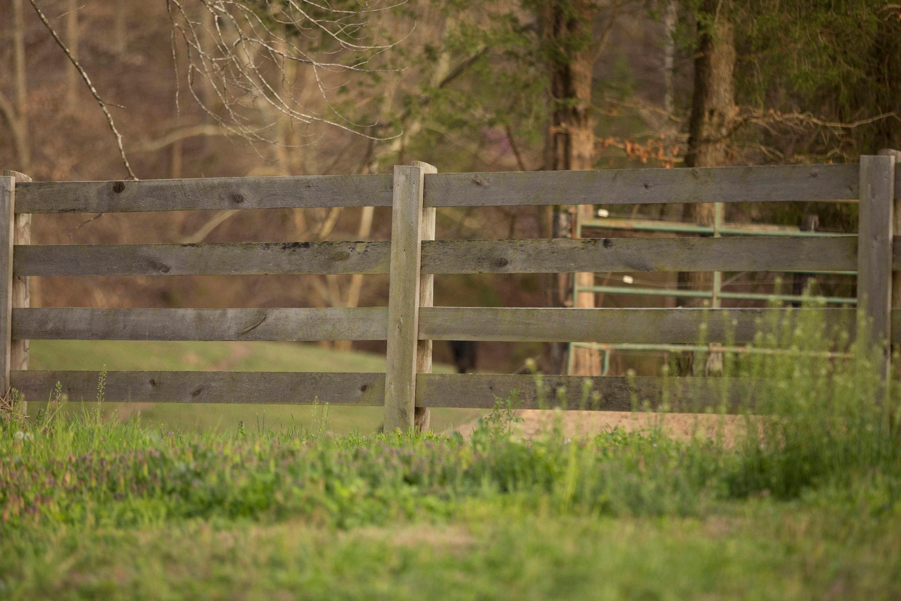 Set of 3 Fence Row From the Front Digital Backdrop / Digital Background ...