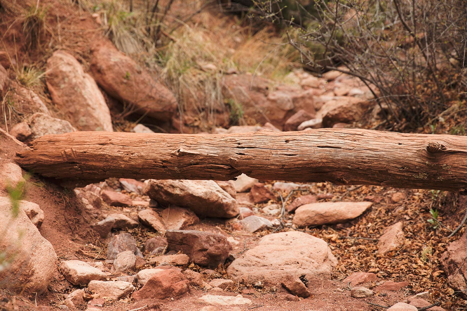 Log Over Rocky Path With Rocks in the Mountain Desert Digital | Etsy
