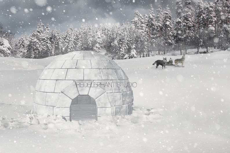 Igloo in the Snow With Wolfpack/falling Snow Winter Digital Background ...