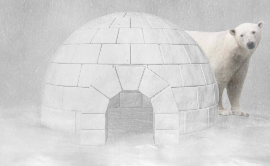 Eskimo in Igloo With Polar Bear Winter With Snow Digital Background ...