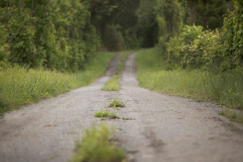 Set of 5 Country Road Paths Digital Backdrop/digital - Etsy
