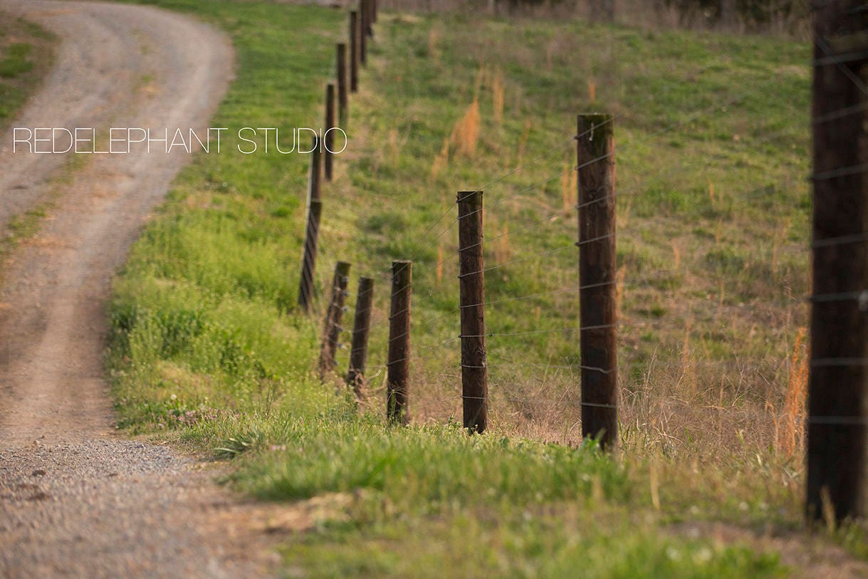 Set of 2 Fence Rows With Path Digital Background /digital Backdrop - Etsy